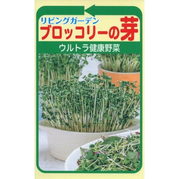 スプラウトの種　発芽したブロッコリーの新芽には優れた栄養素が多い　ご家庭でも極めて短期間で簡単に一年中栽培することができます　生産地：アメリカ　発芽率：80%以上　内容量：20ml