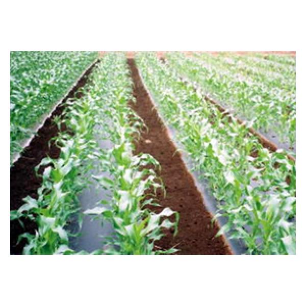 生分解マルチ（生分解性マルチ）とは土壌中の微生物により水と二酸化炭素に完全に分解されます。収穫後にフィルムを剥がす必要が無く、そのまますき込めるので作業省力化できます。1.土壌中の微生物により水と二酸化炭素に完全に分解されます。2.収穫後に...