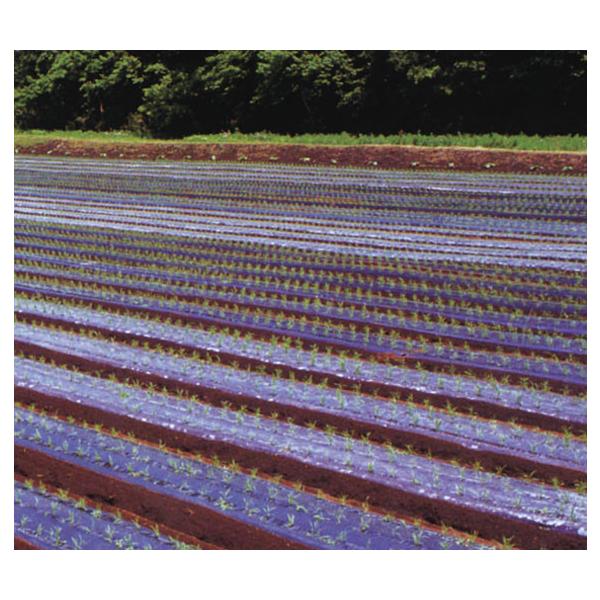 写真はイメージとなります。規格画像をご確認の上、ご購入をお願いいたします。サイズ　厚さ0.02mm　幅 130cm　長さ 200m　孔45mm規格 ６列穴　並列　株間 15cm雑草を防止します。耐候性、耐熱性を強化し、長期使用又は紫外線の強...