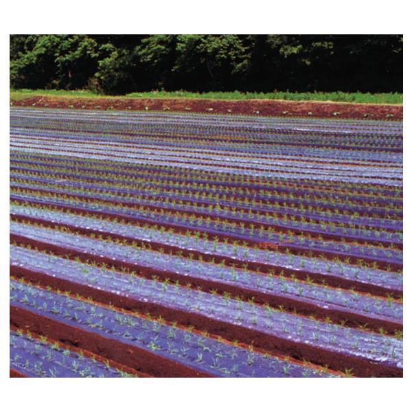 写真はイメージとなります。規格画像をご確認の上、ご購入をお願いいたします。サイズ  厚さ0.02mm　幅 95cm　長さ 200m　孔60mm  規格  ２列穴 並列 株間 15cm 条間 45cm 6本セット・国産品です。・ポリエチレンを...