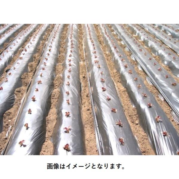 ２本セットヒムシーは害虫（アブラムシ）忌避効果があり、ウイルス病などの防除効果や雑草防除に優れた多層構造の機能性マルチングフィルムです。作業性がよいうえ、イチゴの促成栽培に使用すると色づきが良好で収量や品質の向上につながります。春・秋の栽培...