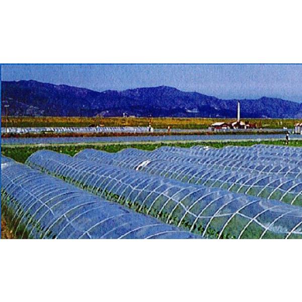 こちらの商品は、ニトポールの後継品となります。・曲げ加工の必要が無く、軽くかさばらないので、トンネル作りの準備がスピーディーにできます。・素材がFRP製で、耐久性にすぐれ、製品劣化が少なく繰り返し使用できます。・使用後はまっすぐ復元しますの...