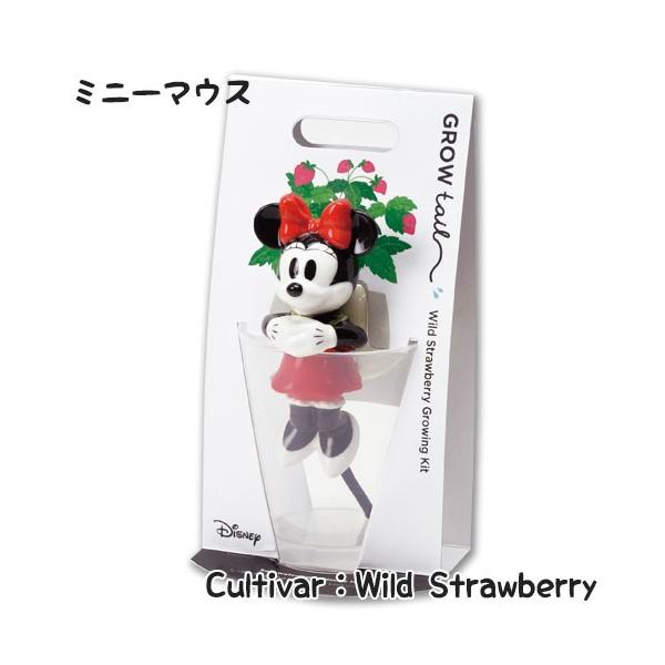 ミニーマウスの栽培セット〈特長〉 ●底面給水システム容器で植物を育てる栽培セット。 ●コップに水をためると水を吸い上げて植物が育ちます   ●サイズ：Ｗ8cm×Ｄ7cm×Ｈ15cm