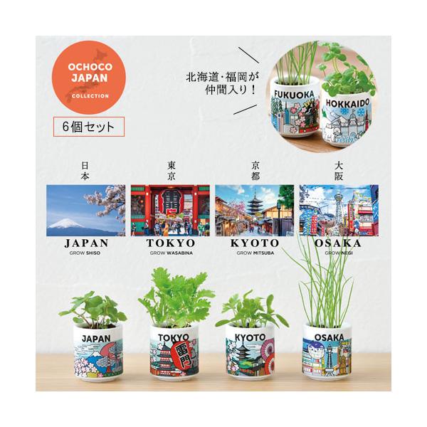 ■お芽でたおちょこ JAPAN日本の都市をモチーフにしたおちょこで育てる栽培セット。各都市のイメージに合わせた、和食でおなじみの薬味を育てます。おちょこの全面にぐるりと描かれたポップで楽しい絵柄もポイント。植物のお世話をするたびに、楽しい旅...