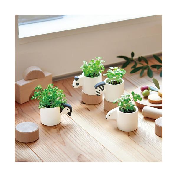 手のひらサイズの陶器製アニマルポットでハーブを育てます。シンプル＆かわいい、白黒モノトーンの仲間たちが集まりました。控えめな装飾だからこそ細部にこだわり、動物たちの表情や形を丁寧にデザインしています。素材の風合いをそのままいかしてざらりとし...