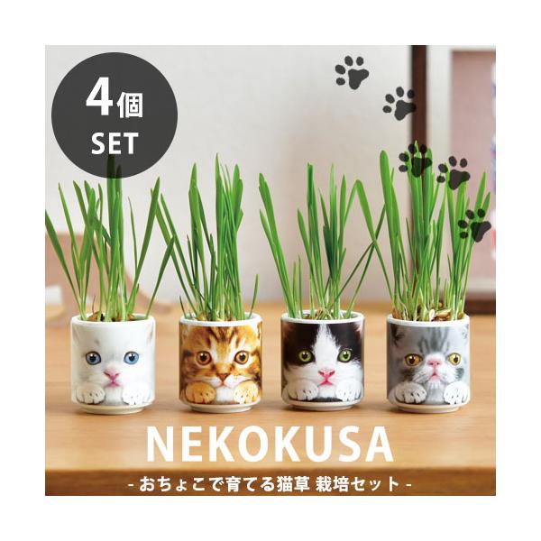 猫が食べることができる「猫草」を育てます。おねだりポーズでご主人を見つめる猫たちの、ドアップフェイスがインパクト大。※４点セットでの販売となります※●サイズ：φ4.3cm H4.8cm