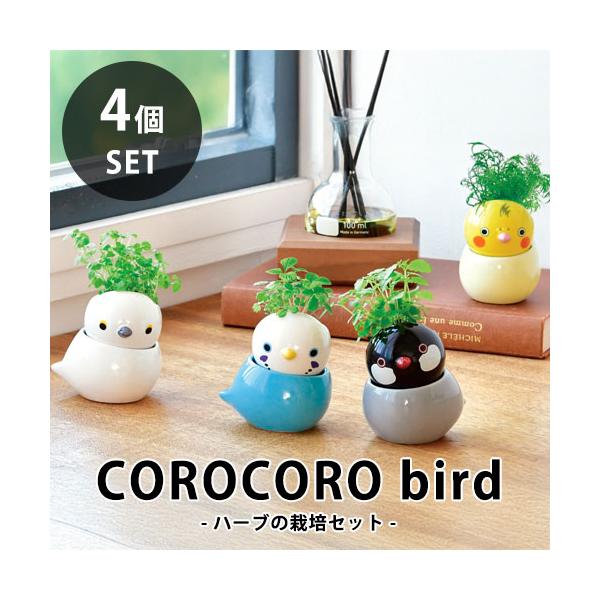 大人気のコロコロシリーズに、カラフルな小鳥たちが仲間入り！体の中に水を溜めて、頭の上で小さな植物を育てます。前を向いたり首をかしげたり…コロコロとポーズに変化をつけて小鳥たちのかわいい仕草と小さな緑に癒されよう。【４品種】01 シマエナガ/...