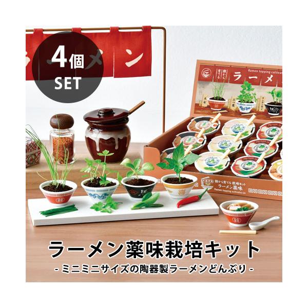 ミニミニサイズの陶器製ラーメンどんぶりで、小さな薬味を育てます。世界的大ブームとなった日本ラーメンの美味しさを支える名脇役に注目して醤油・塩・担々・みそのラーメンに欠かせない4種類の薬味をセレクト。今も昔も愛される懐かしいデザインのどんぶり...