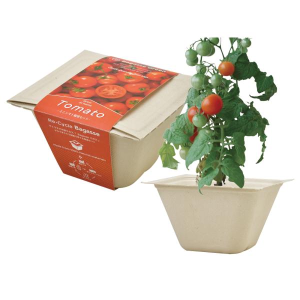 サトウキビの絞りカス「バガス」からできたエコ容器で野菜を育てる栽培セット。紙の原料を木材からバガスに置き換えることで、森林の保護に繋がります。栽培後も土に還ることができる、自然と調和した栽培セットです。インナーポットは、組み立て式。紙とフィ...