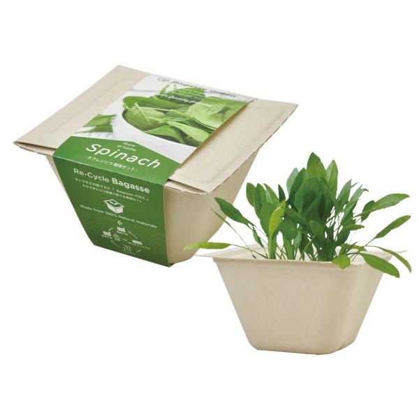 サトウキビの絞りカス「バガス」からできたエコ容器で野菜を育てる栽培セット。紙の原料を木材からバガスに置き換えることで、森林の保護に繋がります。栽培後も土に還ることができる、自然と調和した栽培セットです。インナーポットは、組み立て式。紙とフィ...