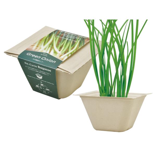 サトウキビの絞りカス「バガス」からできたエコ容器で野菜を育てる栽培セット。紙の原料を木材からバガスに置き換えることで、森林の保護に繋がります。栽培後も土に還ることができる、自然と調和した栽培セットです。インナーポットは、組み立て式。紙とフィ...