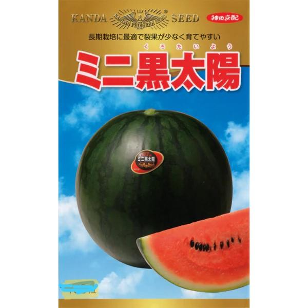 [特性]●果形は良く整った正球形で果皮は黒緑色。黒皮が強じんで裂果が少ない。●果重は1.8〜2.5kg。●果肉は濃紅色で種子は黒色。こだま系にしては締まりのある肉質で　日持ち性が優れています。●糖度は12度程度で、黒皮系特有の旨みのある食味...