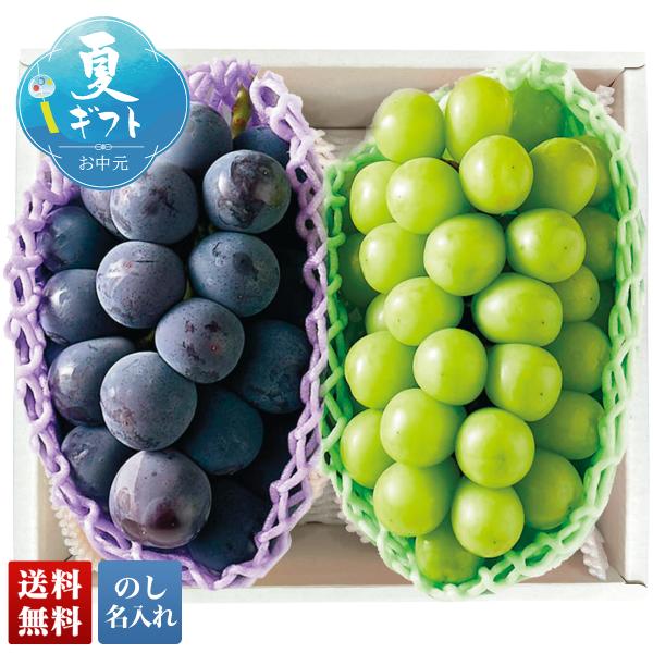 ●内容量：種なしピオーネ約350g（福岡県又は山梨県産）、シャインマスカット約350g（山梨県産） ●賞味期限：お早めにお召し上がり下さい　●配送地域：離島不可　●包装形態：簡易包装　●配送方法：冷蔵　●運送便：ヤマト便　●型番：A15-5...