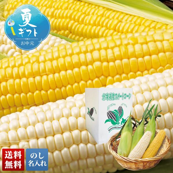 ●内容量：イエローコーン（L〜2Lサイズ）×3、ホワイトコーン（L〜2Lサイズ）×2 　●賞味期限：お早めにお召し上がり下さい　●配送地域：離島不可　●包装形態：包装不可　●配送方法：冷蔵　●運送便：ヤマト便　●型番：B39-1　●商品番号...