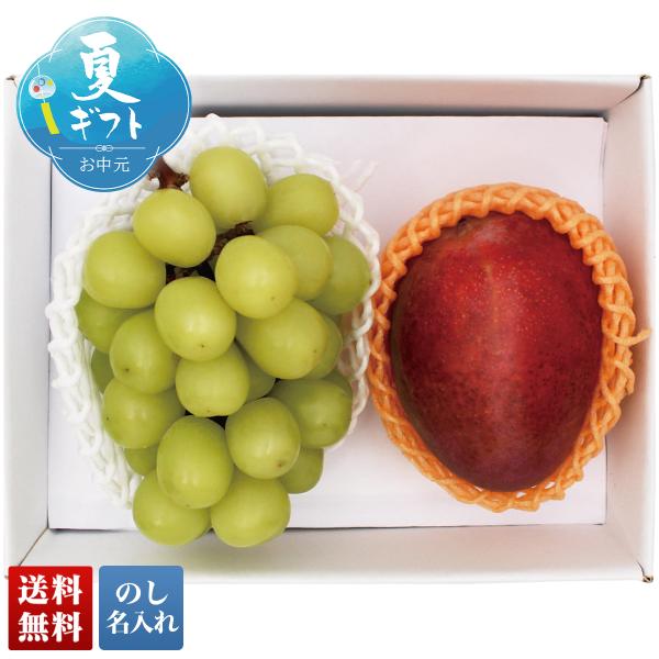 ●内容量：シャインマスカット約300g、アップルマンゴー約300g ●賞味期限：お早めにお召し上がり下さい　●配送地域：離島不可　●包装形態：簡易包装　●配送方法：冷蔵　●運送便：ヤマト便　●型番：C14-2　●商品番号：652　●JAN：...