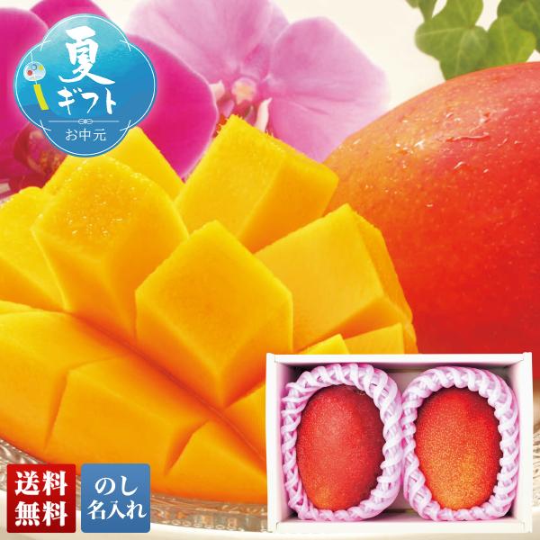 ●内容量：合計約1kg（2〜3個） 　●賞味期限：お早めにお召し上がり下さい　●配送地域：離島不可　●包装形態：簡易包装　●配送方法：冷蔵　●運送便：ヤマト便　●型番：C15-6　●商品番号：611　●JAN：4550767114671　●...