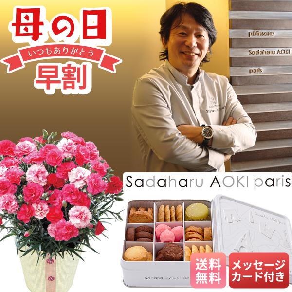 ●内容量：カーネーション５号鉢、バスケット  商品サイズ：幅約15cm×高さ約30cm、コフレ アソーティモン ドゥ ビスキュイ ドゥミ（レザン、アールグレイ、マカロン　ラスク　プティ、ショコラ、ムラング フレーズ、ヴァニーユ　ココ、ヴァニ...