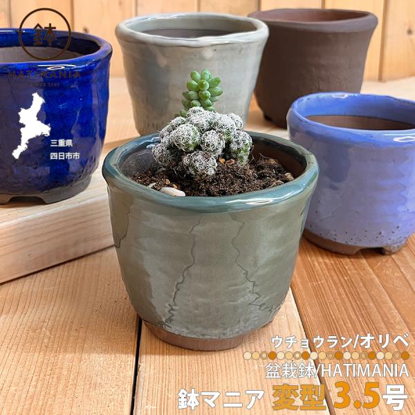 ● 商品名：HATIMANIA 鉢マニア  ウチョウラン オリベ 3.5号●商品名：HATIMANIA 萬古焼 3.5号 変型ウチョウラン鉢●生産地：三重県四日市市●サイズ：約Φ11cm・高さ9cm●仕様：萬古焼●検索キーワード三重県 国内...
