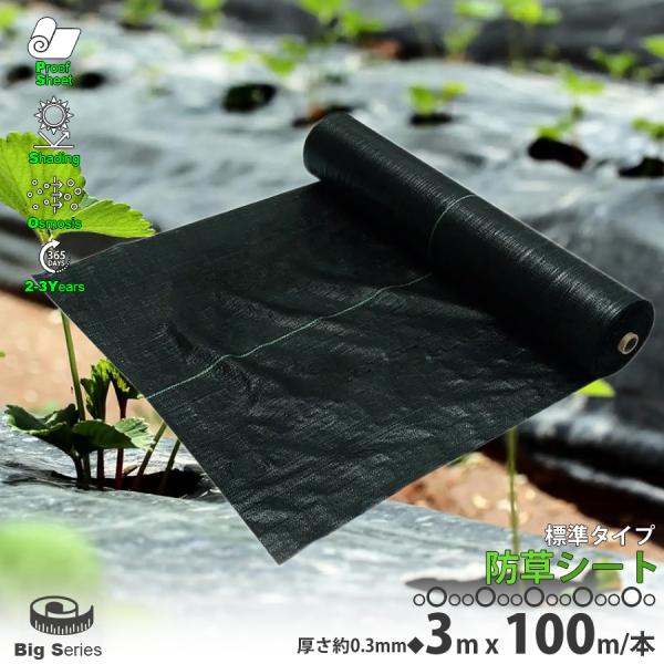 ● 商品名：防草シート 黒 3m×100m 1巻 厚さ0.3mm●商品名：防草シート 3m×100m●サイズ：約3m × 100m / 厚さ：約0.3mm●素材：ポリプロピレン●性能：防草・遮光・透水●対応年数：約2〜3年※使用環境・地域に...