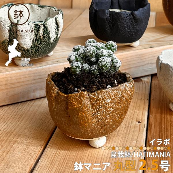● 商品名：HATIMANIA 鉢マニア 2.5号丸型 イラボ●商品名：HATIMANIA 萬古焼 英窯 2.5号 丸型手造り鉢●生産地：三重県四日市市●サイズ：約Φ8.5cm・高さ5.5cm●仕様：萬古焼●検索キーワード三重県 国内ブラン...