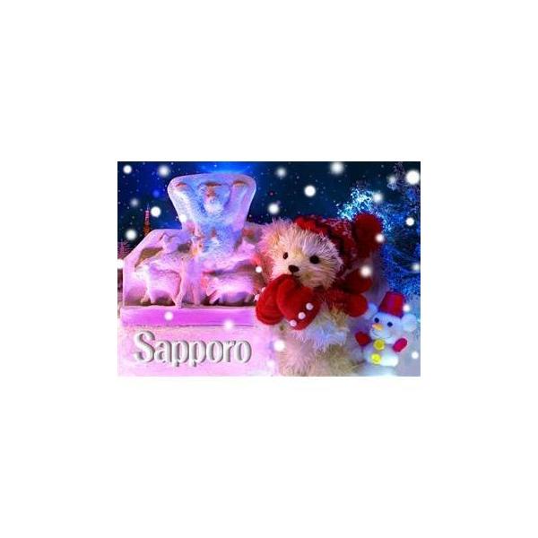 『札幌 雪祭り』のデザインを使用した３Dポストカードです。【サイズ】149×100mm【注意事項】※油性ペンでお書きください。※郵便で送る際は切手をお貼りください。※サイズには多少の誤差が生じる可能性があります。※モニター発色の具合により、...