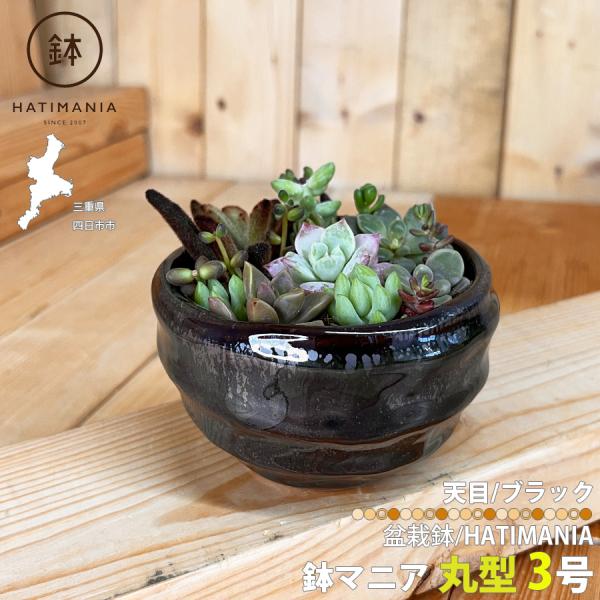 ● 商品名：HATIMANIA 盆栽鉢 3号 1006W 鉢マニア 天目●商品名：HATIMANIA 3号 丸鉢 104-3シリーズ●生産地：中国●サイズ：約Φ9.5cm・高さ5.6cm●仕様：中国盆栽鉢●カラー：天目●検索キーワード観葉直...