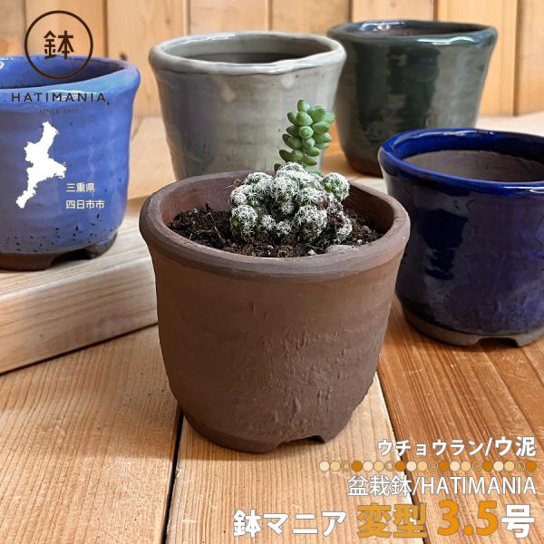 ● 商品名：HATIMANIA 鉢マニア  ウチョウラン ウ泥 3.5号●商品名：HATIMANIA 萬古焼 3.5号 変型ウチョウラン鉢●生産地：三重県四日市市●サイズ：約Φ11cm・高さ9cm●仕様：萬古焼●検索キーワード三重県 国内ブ...