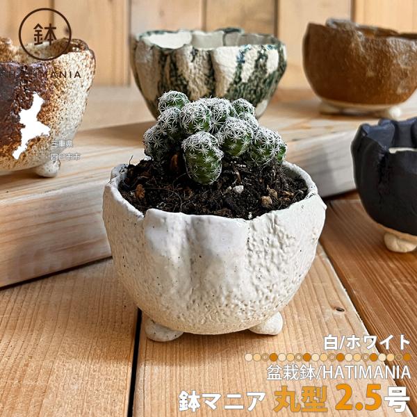 ● 商品名：HATIMANIA 鉢マニア 2.5号丸型 白●商品名：HATIMANIA 萬古焼 英窯 2.5号 丸型手造り鉢●生産地：三重県四日市市●サイズ：約Φ8.5cm・高さ5.5cm●仕様：萬古焼●検索キーワード三重県 国内ブランド ...