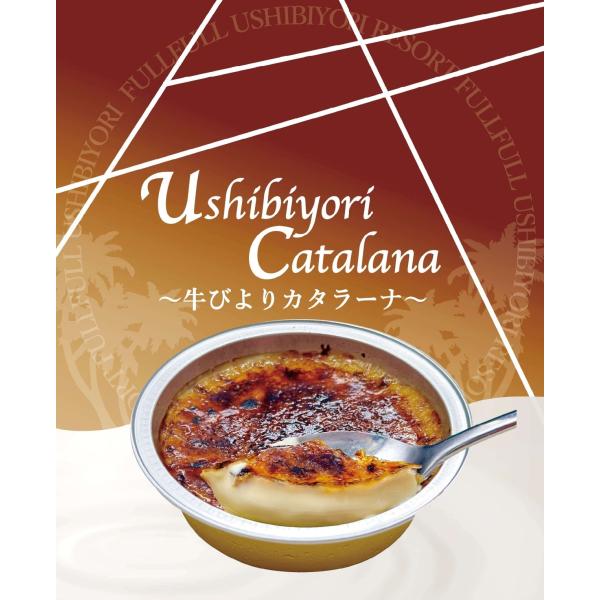 焼肉牛びよりリゾートの人気No.1スイーツが　通販でも購入可能になりました。福井県産たまごのコク×北海道産生クリームのなめらかさ×マダガスカル産バニラビーンズの芳醇な香りをギュギュっと贅沢に閉じ込めました。表面を焼き上げることにより、キャラ...