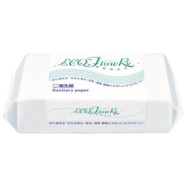 【ご注意】■この商品は、取り寄せ後の発送となります。通常5営業日以内に発送いたします。【特長】環境と自然にやさしい水に流せるケアペーパー■食品衛生検査合格済。■グリーンマーク表示基準製品。■エンボス加工でやわらかく吸水性抜群。■水に流せるの...