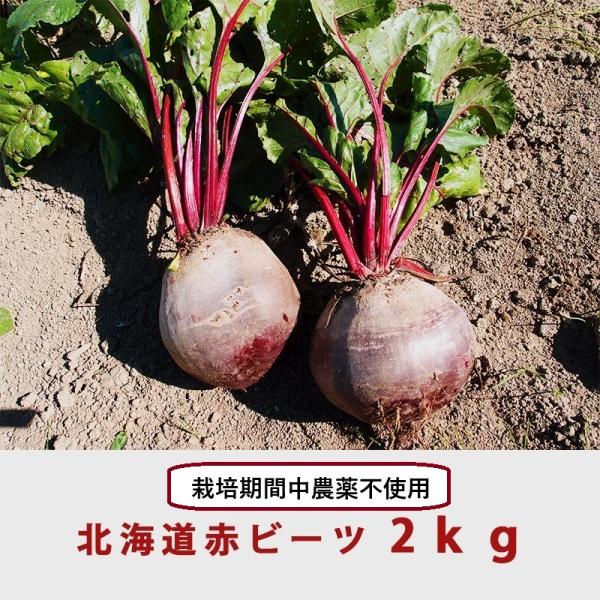【発売日：2026年09月08日】北海道江別市および南幌町で無農薬栽培した赤ビーツです。 鮮度を保つため、発送時は丁寧に茎・葉・余分な根を切り落とした状態でお送りします。　　全国送付先別・注文個数別で自動計算となっております・内容量：2kg...