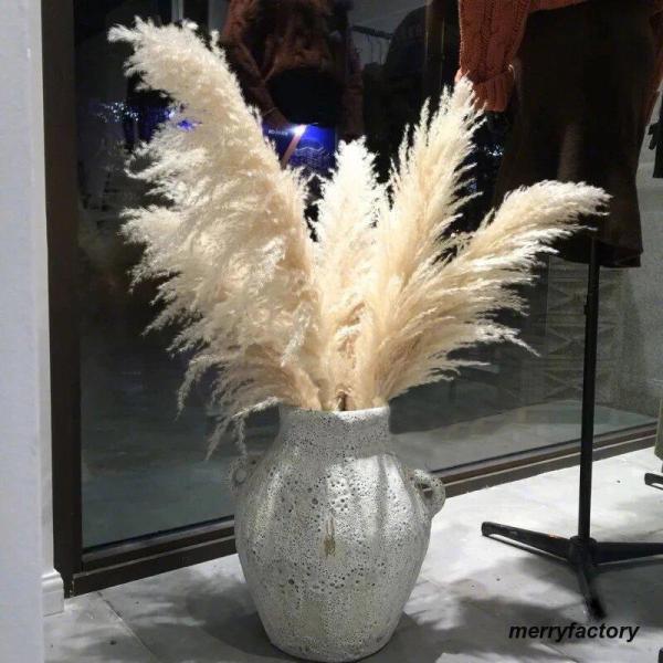 大!ボリューム満点なフワフワなドライフラワーです。パッケージから出して飾っていただくうちに?空気を含んでさらにふわふわ感が増してきます。シンプルに飾るだけでゴージャスでナチュラルなインテリアに。【商品サイズ】全長約100-110cm1束(約...