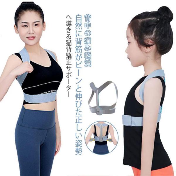 Sおすすめ体重12-18kgMおすすめ体重18-25kgLおすすめ体重25-35kg大Sおすすめ体重35-50kg大Mおすすめ体重50-65kg大Lおすすめ体重65-85kg※サイズは平置き実寸になります。サイズ表の実寸法は商品によって1-...