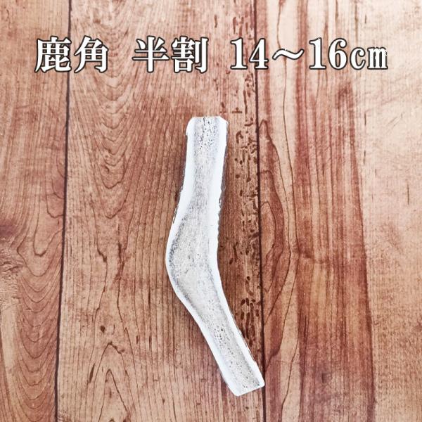 エゾシカの角、特に先端部分の角をカットした「枝角」になります。工芸品やペットのおもちゃなど、使い方は自由です。カット面はケガしないように面取りしてます。ペットにおもちゃとして与える場合は小さいものは飲み込まないように、また噛み続けると歯が欠...