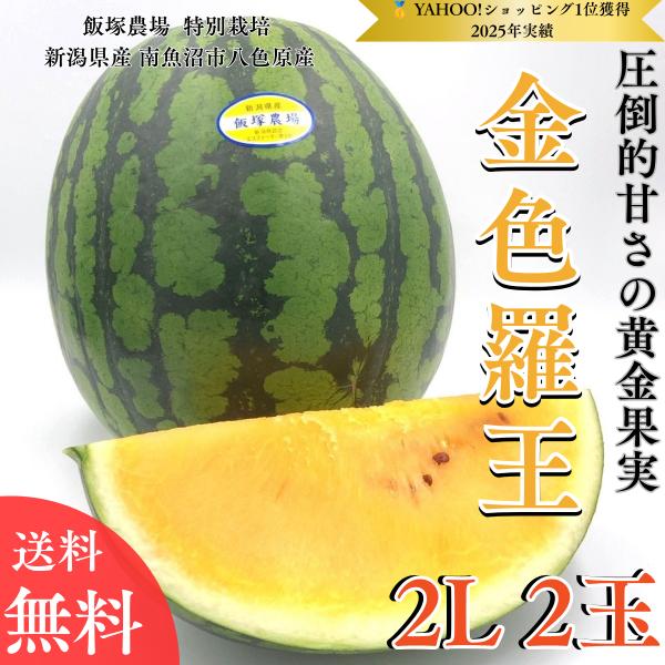 【発売日：2026年07月10日】希少な黄色スイカ「金色羅王（こんじきらおう）」。栽培が難しく、一玉ごとに完熟を見極めて収穫した逸品。見た目のインパクトと上品な甘さで、贈り物にも最適です♪「金色羅王」はYahoo!ショッピングでランキング1...