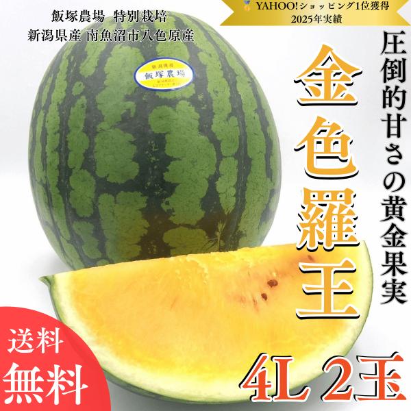 【発売日：2026年07月10日】希少な黄色スイカ「金色羅王（こんじきらおう）」。栽培が難しく、一玉ごとに完熟を見極めて収穫した逸品。見た目のインパクトと上品な甘さで、贈り物にも最適です♪「金色羅王」はYahoo!ショッピングでランキング1...