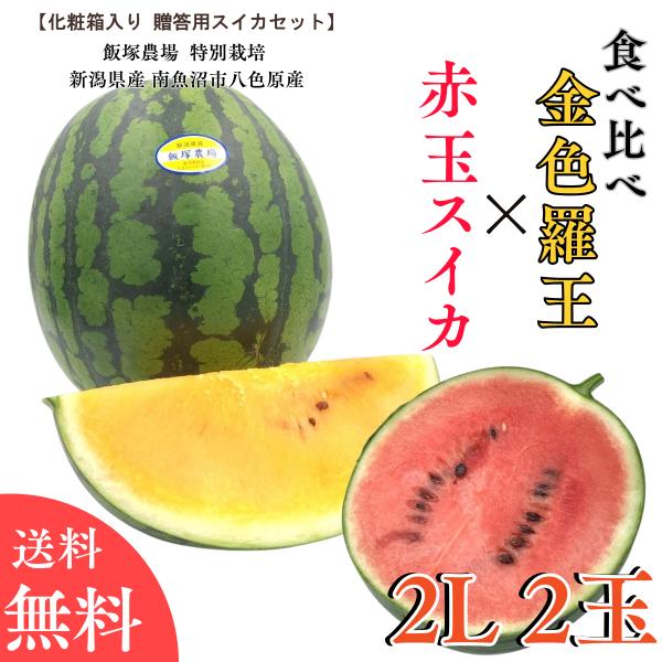 【発売日：2026年07月10日】希少な黄色スイカ「金色羅王（こんじきらおう）」。栽培が難しく、一玉ごとに完熟を見極めて収穫した逸品。見た目のインパクトと上品な甘さで、贈り物にも最適です♪赤玉スイカは飯塚農場自慢の「コクのある甘さ」が際立つ...