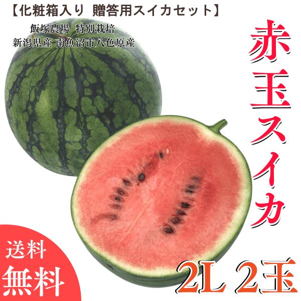 【発売日：2026年07月10日】飯塚農場自慢の「コクのある甘さ」が際立つ赤玉スイカ2玉セット。リピーターの注文だけで夏早々に売り切れることもある人気商品です。新潟県南魚沼市の八色原産。生産者の飯塚さんが愛情込めて育てたスイカをご堪能くださ...
