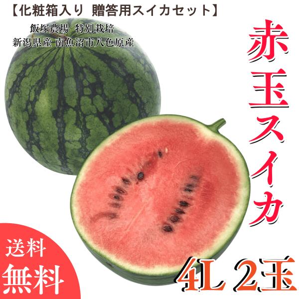 【発売日：2026年07月10日】飯塚農場自慢の「コクのある甘さ」が際立つ赤玉スイカ2玉セット。リピーターの注文だけで夏早々に売り切れることもある人気商品です。新潟県南魚沼市の八色原産。生産者の飯塚さんが愛情込めて育てたスイカをご堪能くださ...