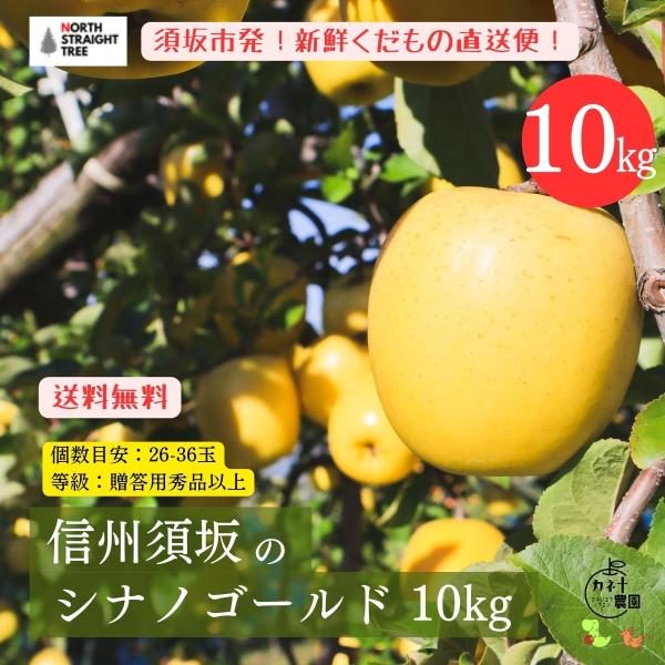 【発売日：2025年09月30日】等級は秀品以上の贈答用！シナノゴールドはサクサクと引き締まった歯ごたえが楽しめる、長野生まれの黄色りんごです。甘味の中にしっかりとした酸味を感じることができます。柑橘類のようなさわやかな風味。信州はりんごの...