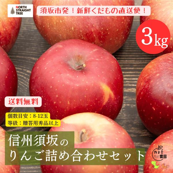 【発売日：2025年09月30日】須坂市産の美味しいりんごをもぎたてでお届けするご予約便！旬のりんごを真っ先に発送します。信州はりんごの生産量は青森県に次いで２番目。りんごの収穫種類は日本一。須坂市でもたくさんの種類のリンゴを作っているんで...