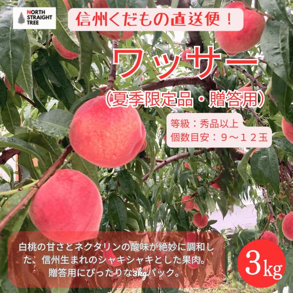 【発売日：2026年08月01日】ワッサーは長野県須坂市で生まれた白桃とネクタリンの自然交配種で、白桃とネクタリンのいいところを取った桃で果実はやや硬めですが、酸味と甘さのバランスが抜群で夏にピッタリな爽やかな桃です。保存期間は桃よりも長く...