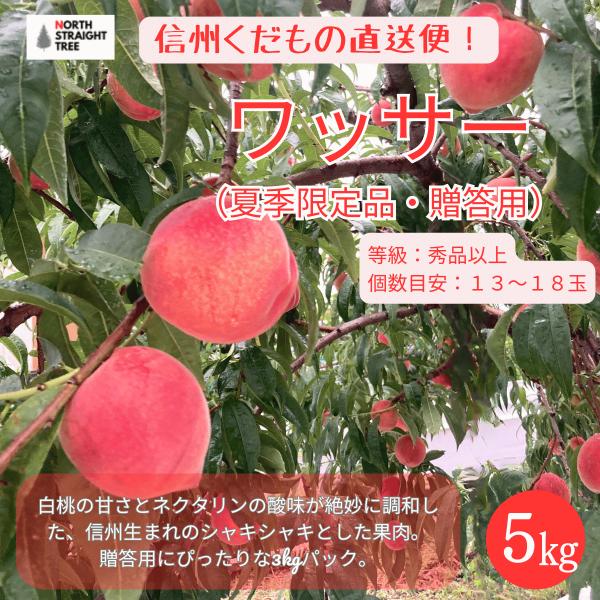 【発売日：2026年08月01日】ワッサーは長野県須坂市で生まれた白桃とネクタリンの自然交配種で、白桃とネクタリンのいいところを取った桃で果実はやや硬めですが、酸味と甘さのバランスが抜群で夏にピッタリな爽やかな桃です。保存期間は桃よりも長く...
