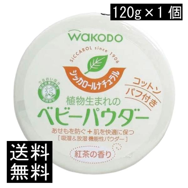 【ご注意】※本商品はメール便送料無料商品です。ポスト投函又は指定場所置き配となります。ポストに入らなかった場合の「指定場所」をご選択ください。代金引換又は直接受け取りのご希望の場合は08_宅配便へ変更（追加送料承諾）【200円追加】をご選択...