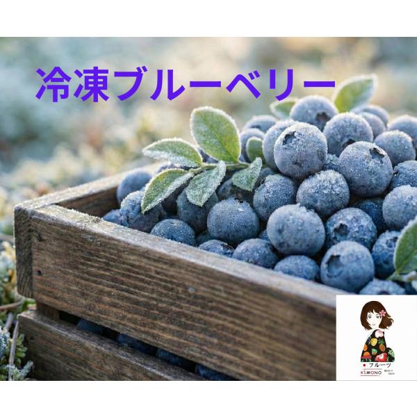 果物のプロの目で厳選した冷凍フルーツ　ブルーベリー（チリ産）新鮮なブルーベリーを、 そのまま瞬間冷凍しました。小粒だけど栄養価の高いブルーベリー、ブルーベリーにはポリフェノールやアントシアニンがいっぱい。疲れ目を癒し、若さを保つ抗酸化作用も...