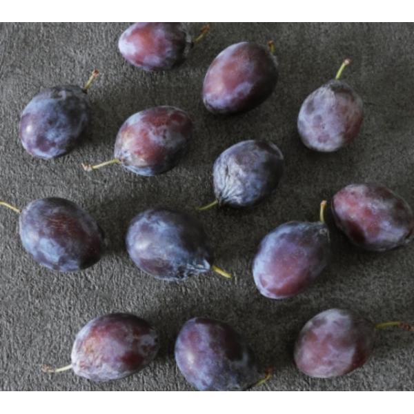 果物のプロの目で厳選した冷凍フルーツ　長野産プルーンの短い旬の美味を凍らせました。長野産の新鮮なプルーンを冷凍加工しました。ジャム、スムージー、ヨーグルトにお使い下さいプルーンの枝を取り、真空パック加工後、急速冷凍していますので、果実本来の...