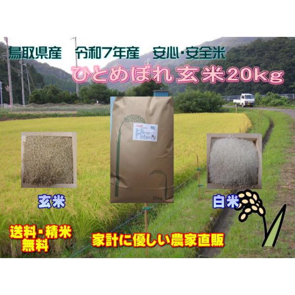 安心・安全米  令和7年鳥取県産米ひとめぼれ玄米 20 ｋg　精米無料　白米の場合糠の分約1割減ります　約 18 kg白米でのご注文は、ご注文受けてから精米致します。精米後、半日かけて常温に戻して袋づめしますので翌々日の発送となります。発送...