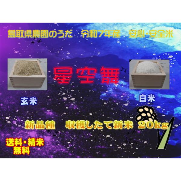 【発売日：2025年08月25日】鳥取県が推薦する、新品種星空舞を皆様に提供致します。精米無料　白米の場合は約１割糠の分減ります。約18ｋｇお買い上げ参考にしてください。星空舞は、コシヒカリより少し粒が小粒ですがコシヒカリに劣らず、美味しく...