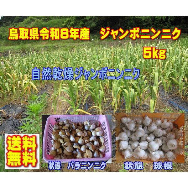 【発売日：2026年07月14日】