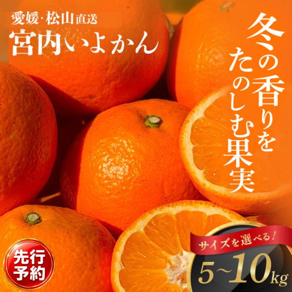 商品名：宮内伊予柑規格：訳あり・規格外（ご家庭用）内容量：約5kg（玉数はサイズ・重量により異なります）産地：愛媛県松山市発送：2027年1月上旬より順次発送保存方法：到着後は箱から取り出し、風通しのよい冷暗所で保存してください。注意事項：...